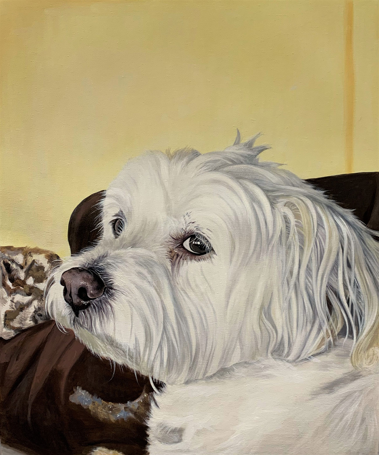 Hand Painted Pet Portraits - PaintYourLife | Marcia's Gallery