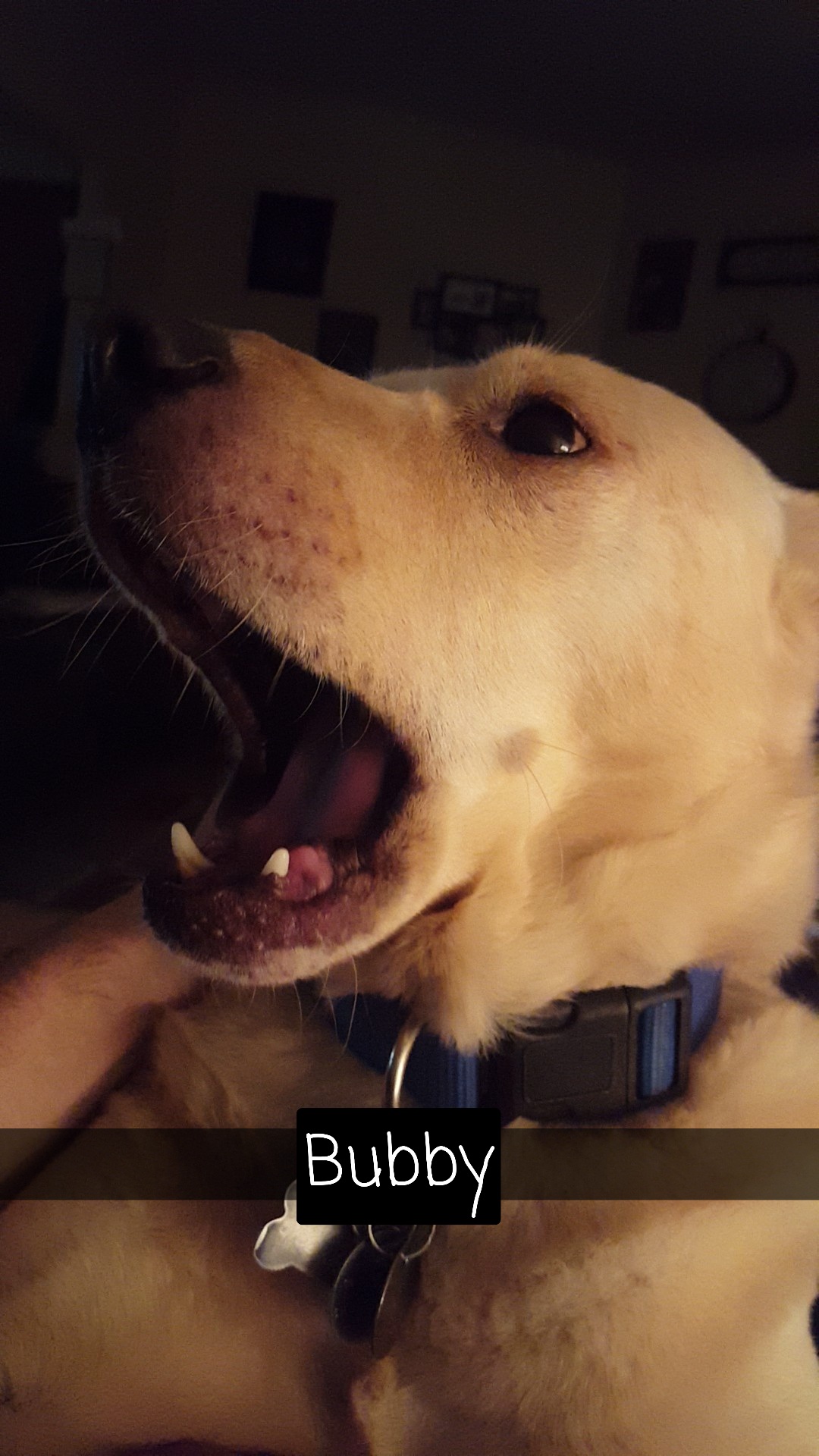 Hand-painted Portraits with Written Messages | PaintYourLife | Paint ...